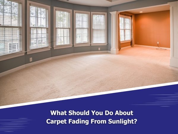 What Should You Do About Carpet Fading From Sunlight?